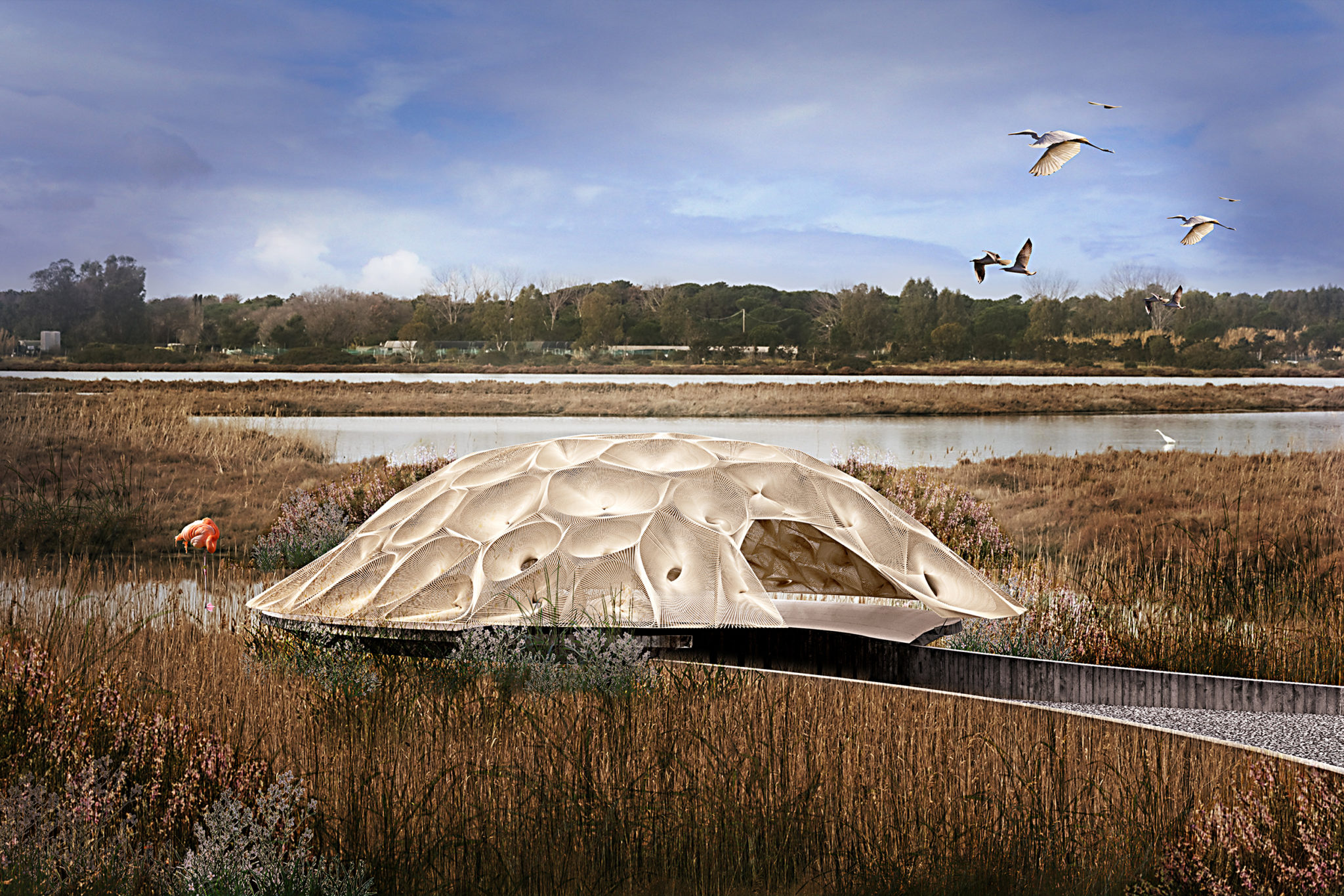 ECO-NESTS | T&V Architects